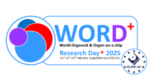 WORD+ 2025 - ELRIG