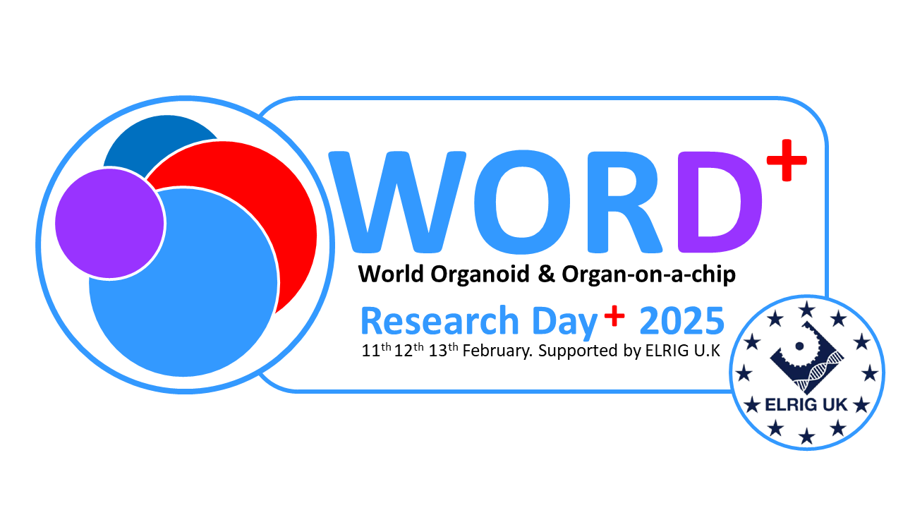 WORD+ 2025 - ELRIG